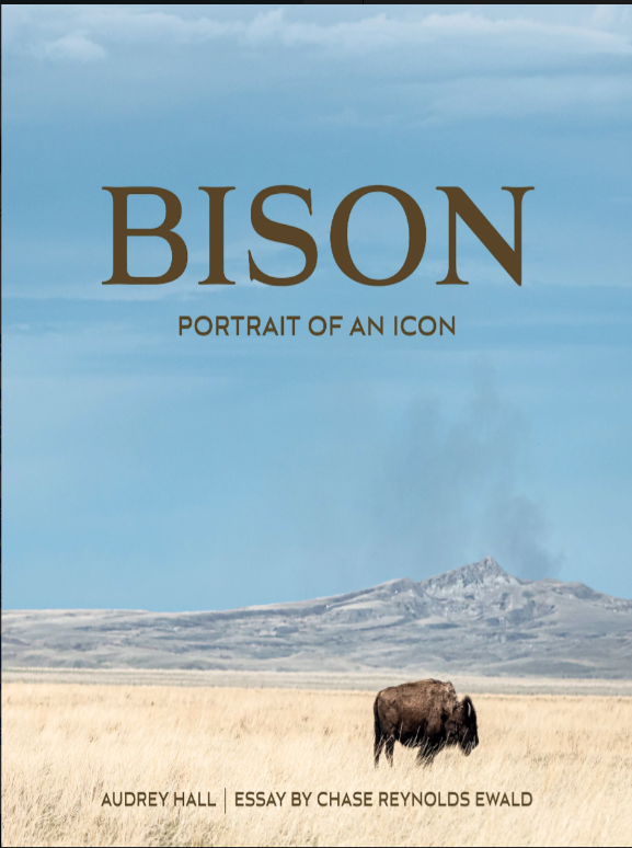 Bison Book – Wildfire Mercantile